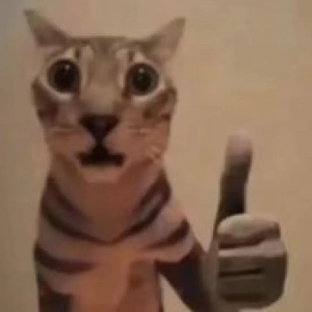 Cat Meme Dispatch #10: Funny Face, Meowing & Pathetic Cat Memes – acathat