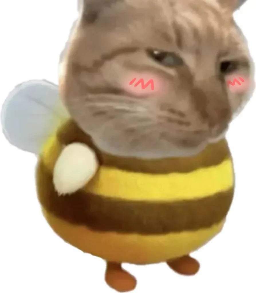 Cat Meme Dispatch #7: Grumpy, Sad & Standing Cat Memes – acathat
