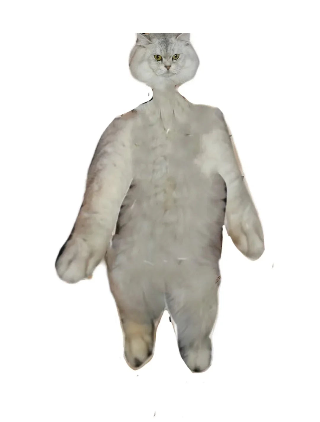 Cat Meme Dispatch #8: White, Bread & Annoying Cat Memes – acathat